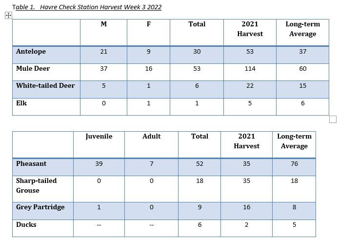 Hunter numbers up at Havre game check station