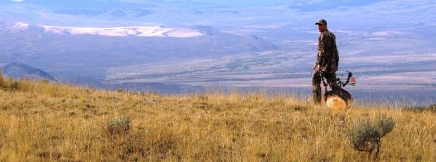 Free guide offers advice on elk decoy setup