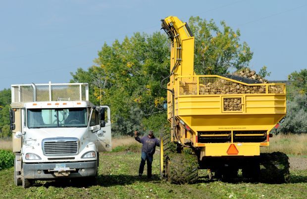 New sugar beet harvester has wow factor