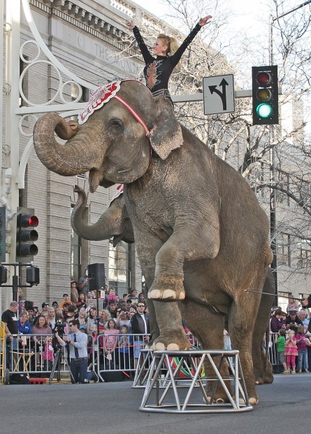 Shrine Circus shows off under Skypoint | Local News | billingsgazette.com