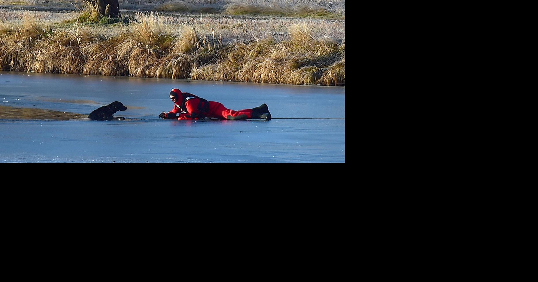 Dog rescued from ice, freezing water in Lake Elmo