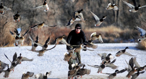 Warmest year on record goes out with cold snap