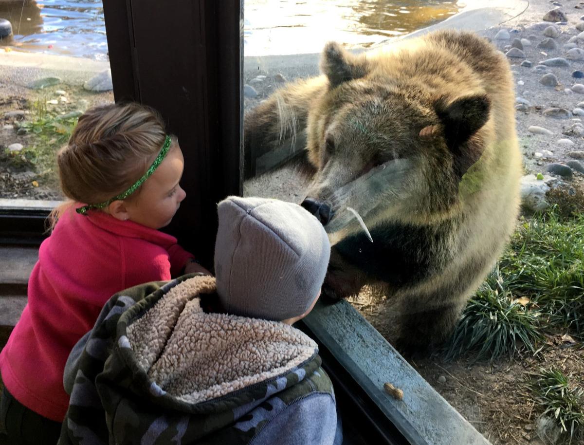 ZooMontana sloth exhibit gets $51K boost from Montana tourism grant