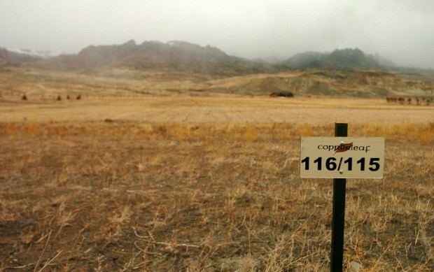 Copperleaf foreclosure is possible