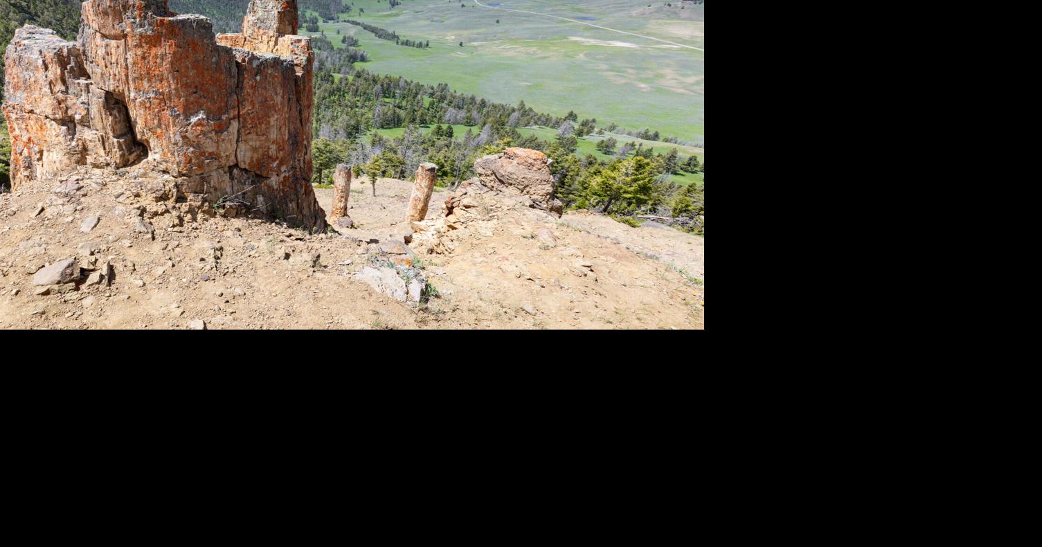 Caldera chronicles: The underappreciated fossil riches of Yellowstone