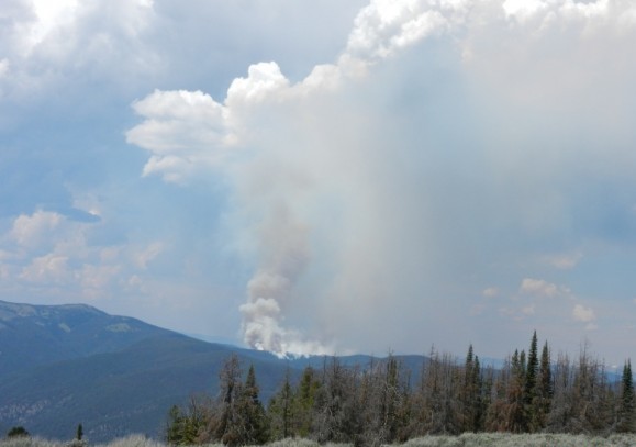 Bitterroot wildfire now at 1,000 acres along Montana-Idaho border