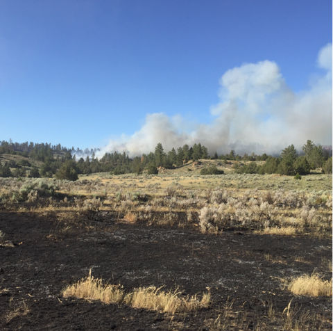Wildfire burns more than 1,500 acres near Ashland