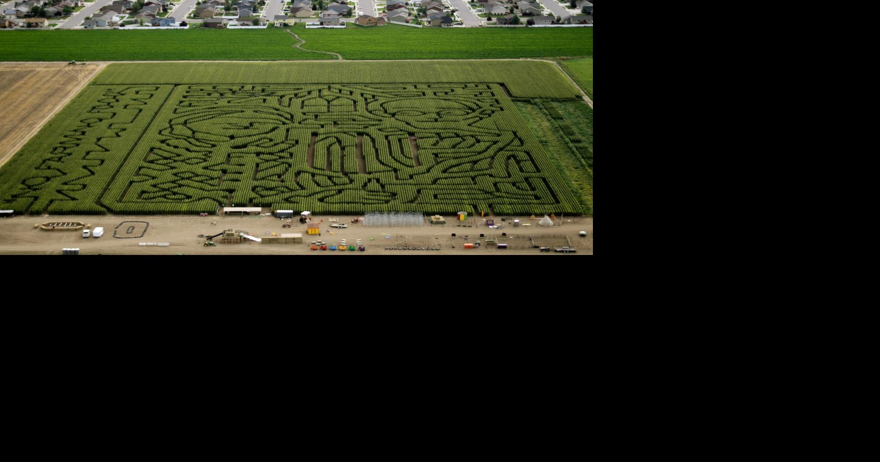Corn maze on Billings' West End opens Friday