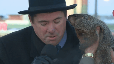 Jimmy the Groundhog