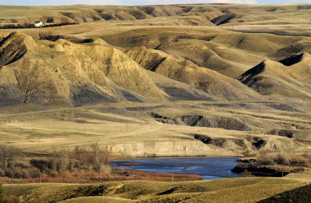 Roadside wanderings in north-central Montana