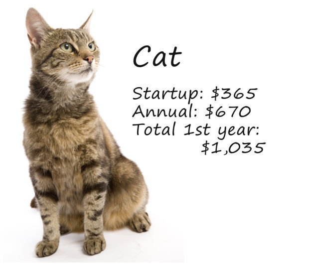 How much will that pet cost? | Pets | billingsgazette.com