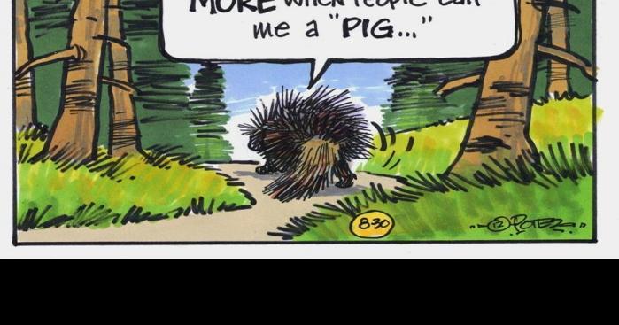 Outdoors just for kids: Our little pine ‘quill pig’