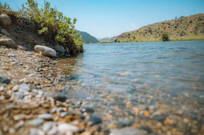 Giving a Hoot: Why Hoot Owl restrictions work