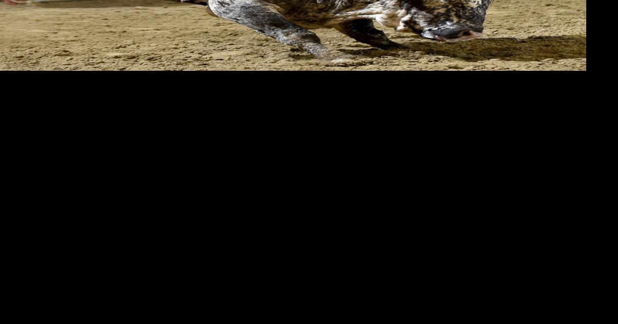 Parker Breding regains his bull riding passion