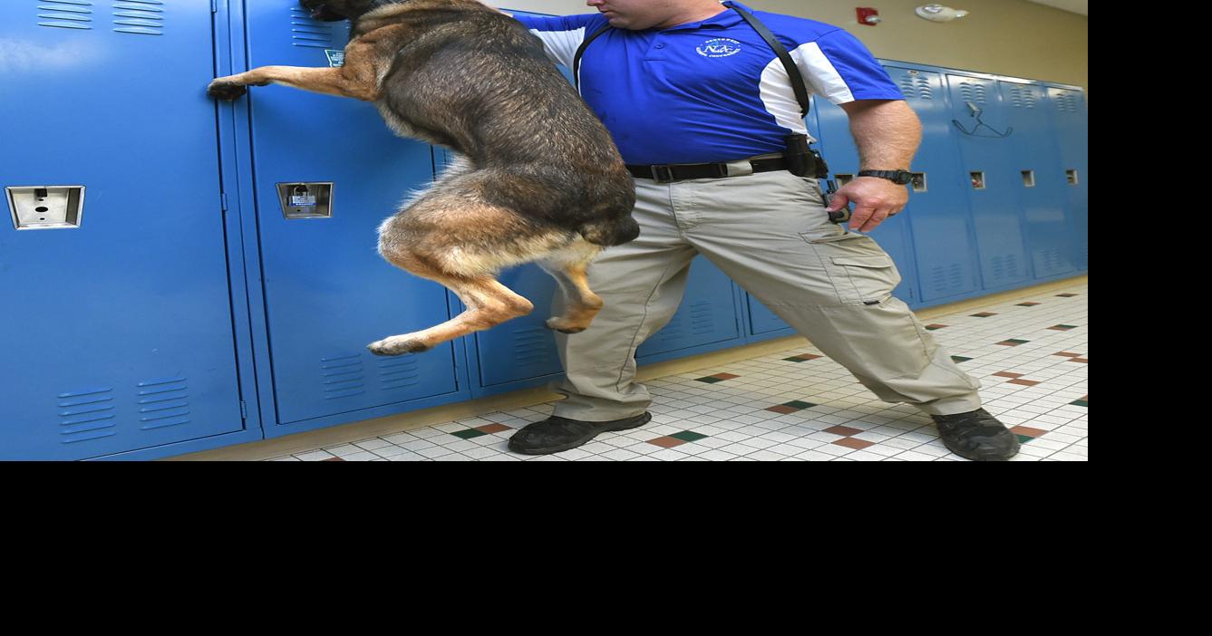 Act cool, it's the fuzz: Police dogs drill on drug detection