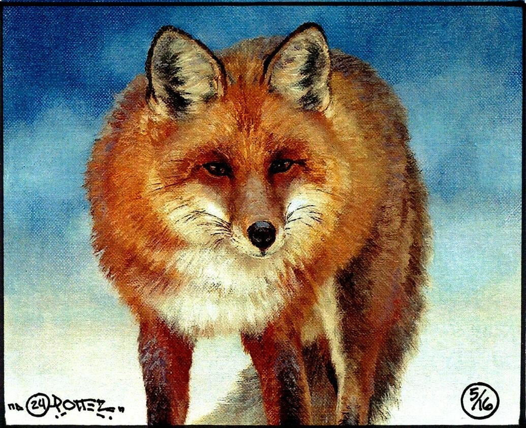 Red, arctic foxes' sharp skulls help them hunt mice