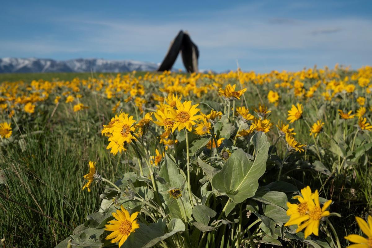 Tippet Rise opens for its third season