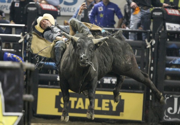 Gallery: Professional Bull Riding