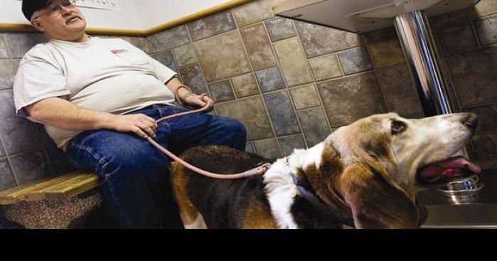 Losers are winners in animal weight loss program