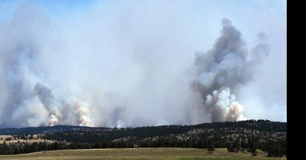 Toll of Dahl fire still unknown