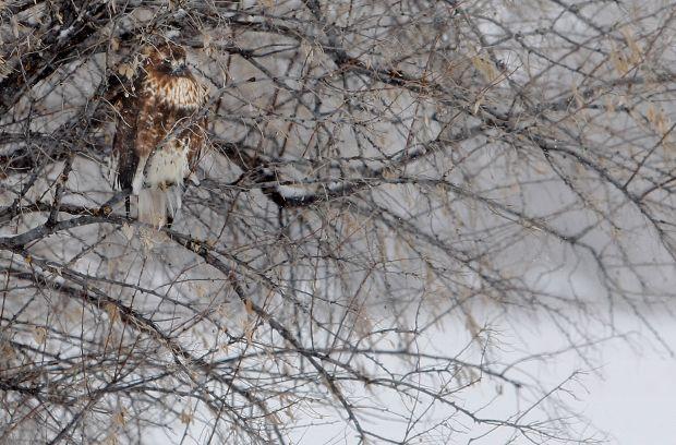 Frigid snowy weather returns