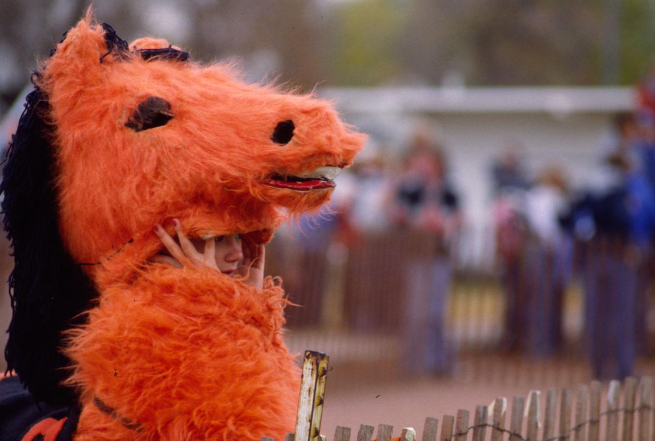 Retrospective: Montana high school mascots