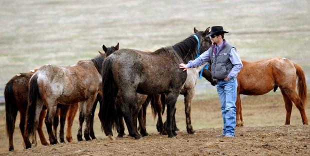 Gallery: Leachman horses