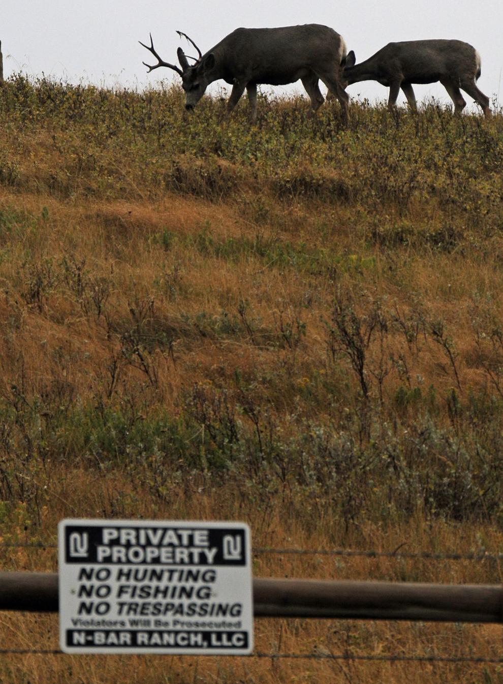 Billionaire Texas brothers selling 4 Montana ranches