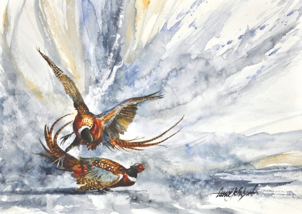 Stillwater festival features artist Johnson