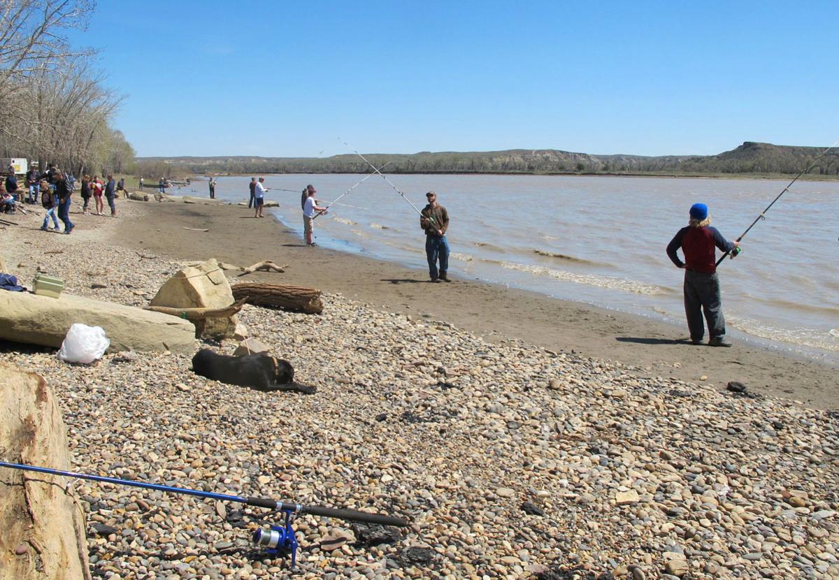Lower Yellowstone, Missouri river paddlefish season canceled