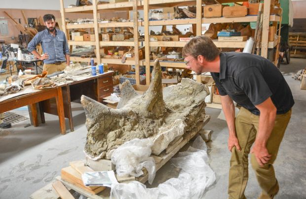 Dusty, science-y adventure draws hundreds to Ekalaka’s Dino Shindig