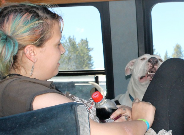 Rainbow gathering: Left-behind dogs worry shelter director