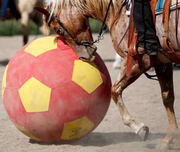Horse soccer catching on in Montana