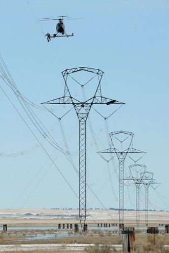 Reflectors installed on power line to curb bird deaths