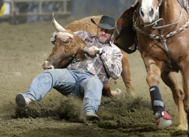 Shepperson returns to NFR