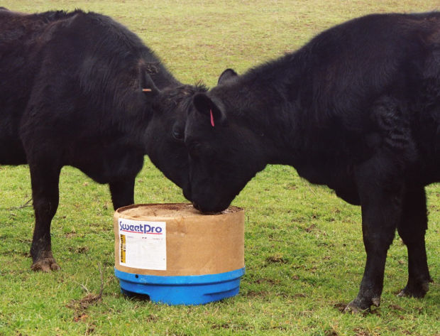 Sweet profits: Billings distributor becomes industry leader in ...