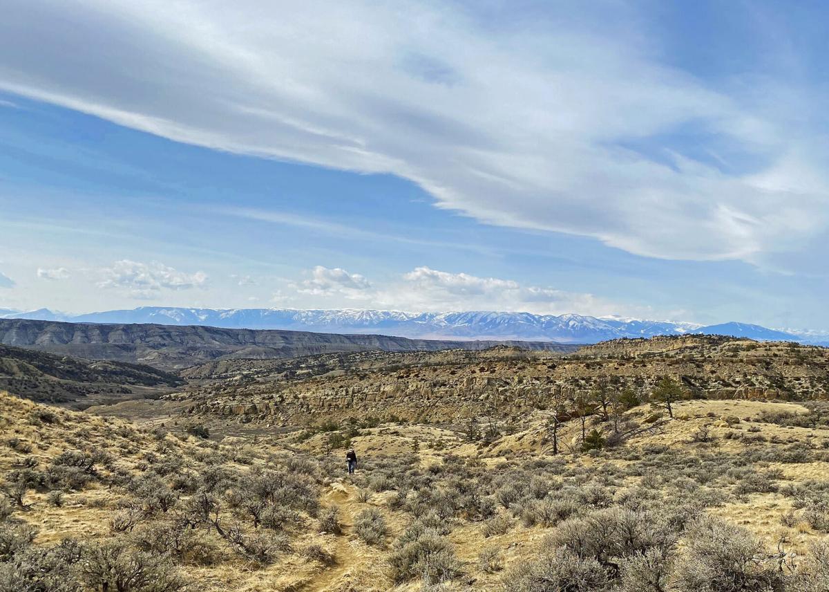 BLM begins travel planning for Cottonwood/Weatherman region with online ...