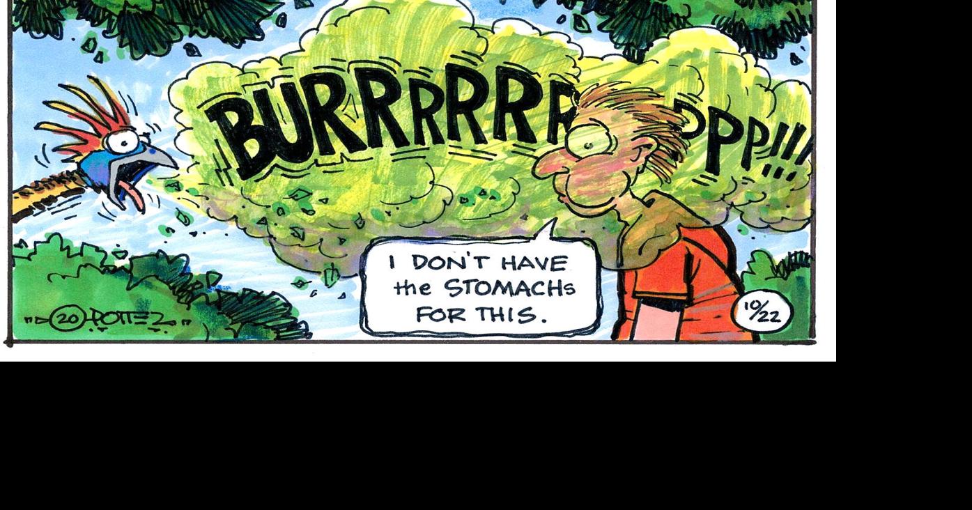 'Stink bird' has many unusual traits