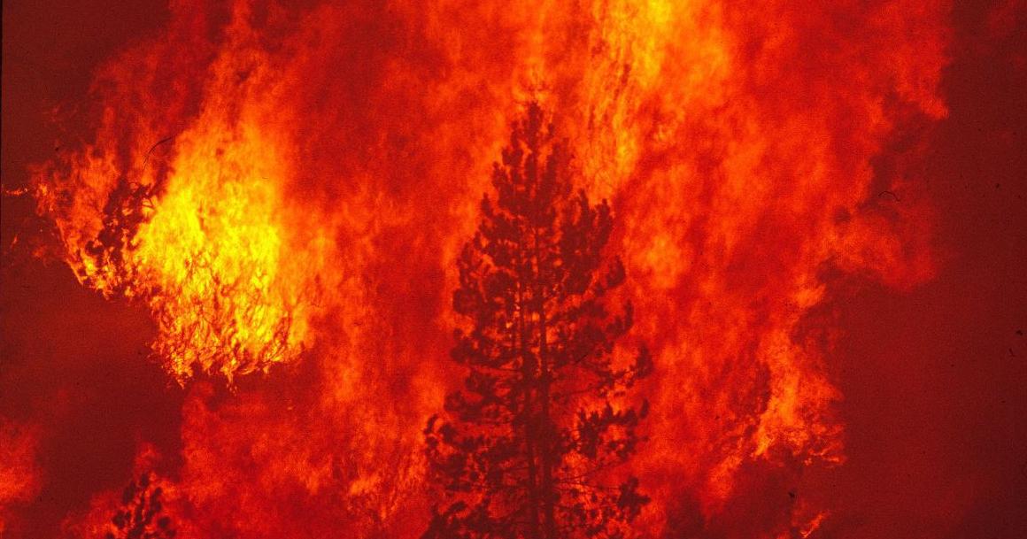 'Black Saturday' and the aftermath of the 1988 fires in Yellowstone
