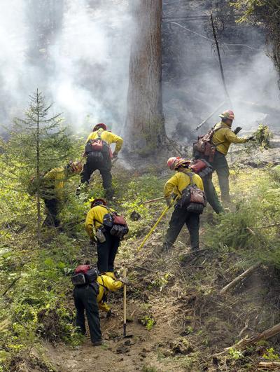 Guest opinion: Wildfire damage control should start around towns