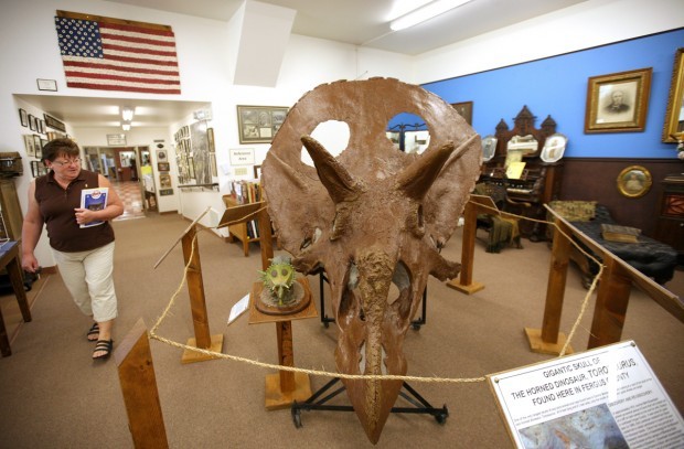 Dinosaur skull stands out at museum