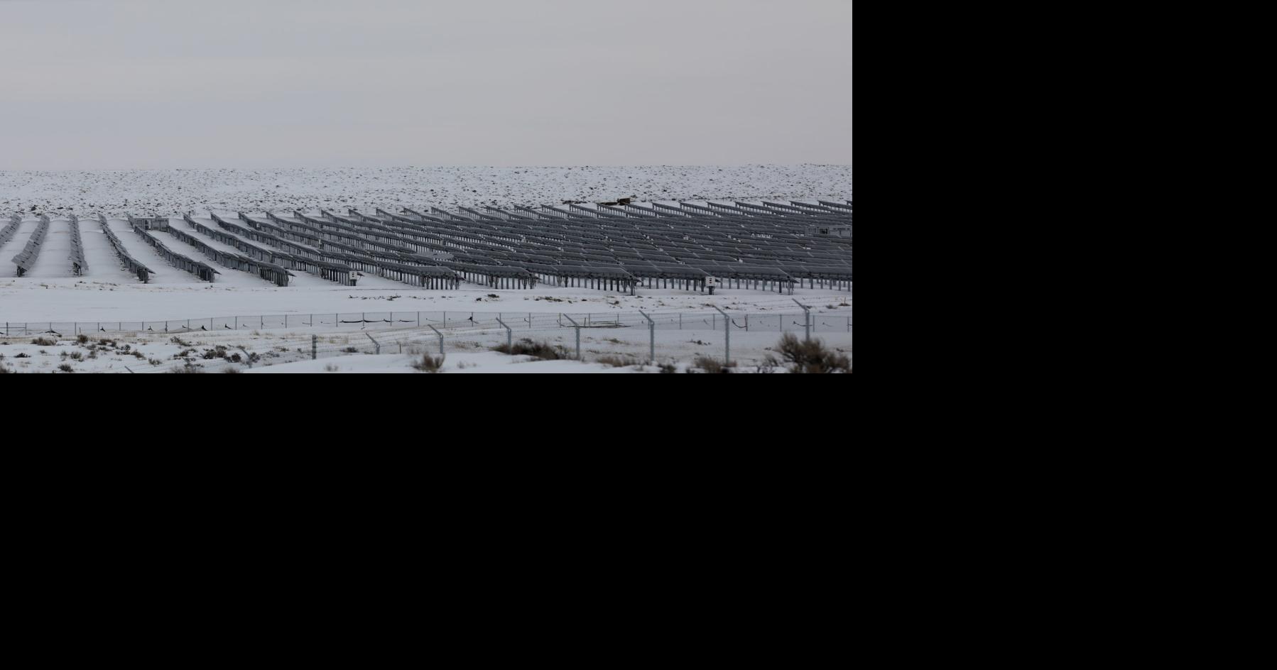 Electric cooperatives contract with Montana's largest solar project