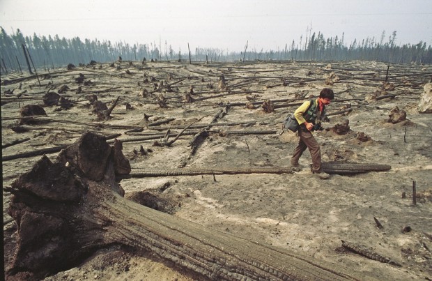 25 years after 1988, Yellowstone reflects change wrought by fire
