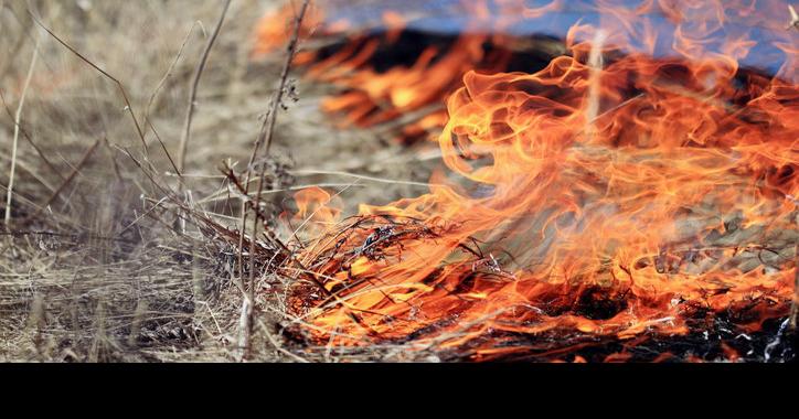 Yellowstone fire grows to 760 acres