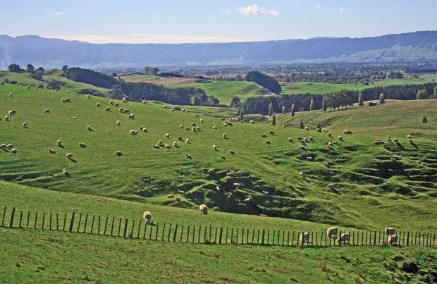 Movie magic, sheep farm combine to create hobbit home