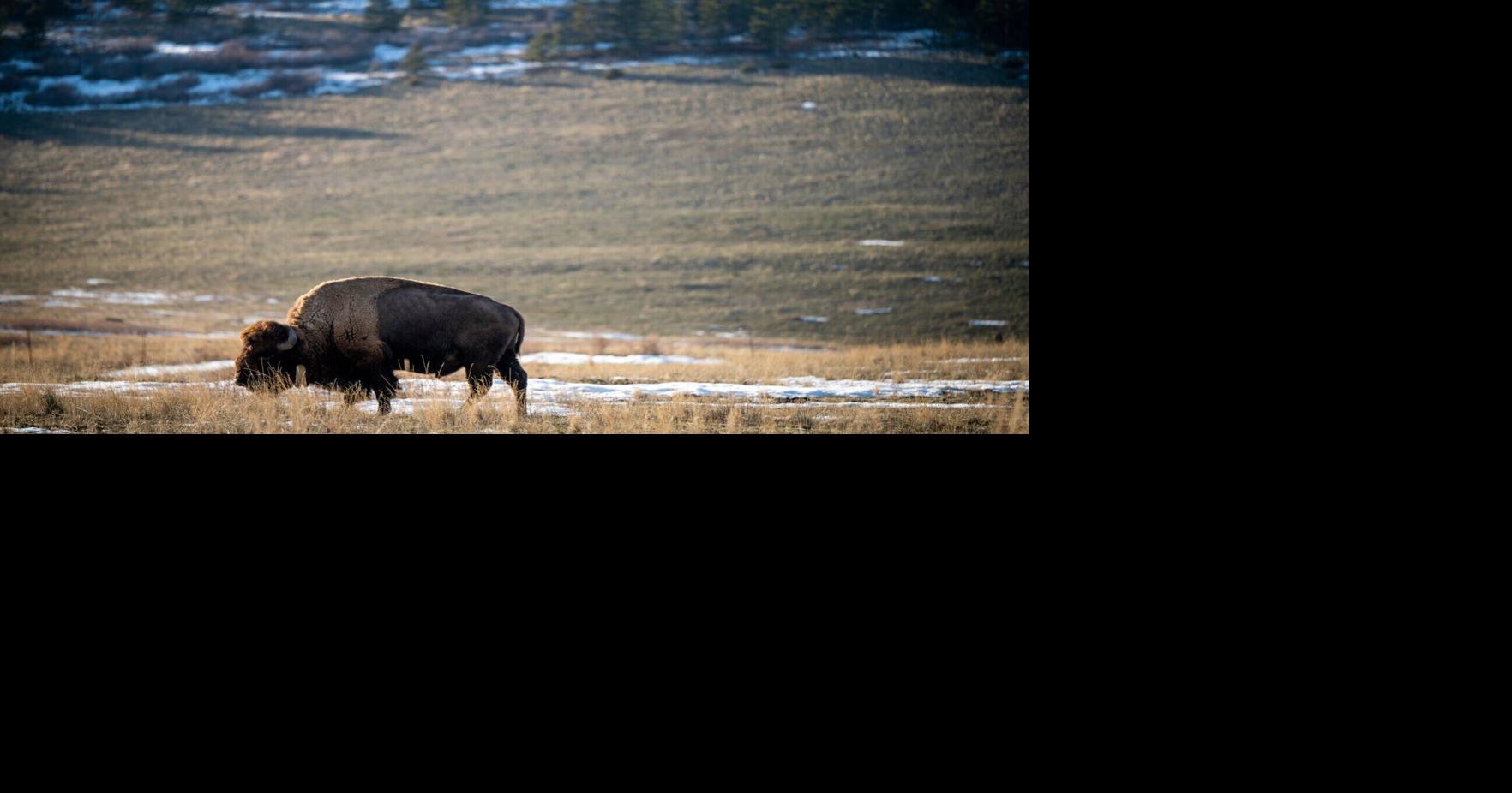 Emily Boyd-Valandra: Clean Water Act deserves support