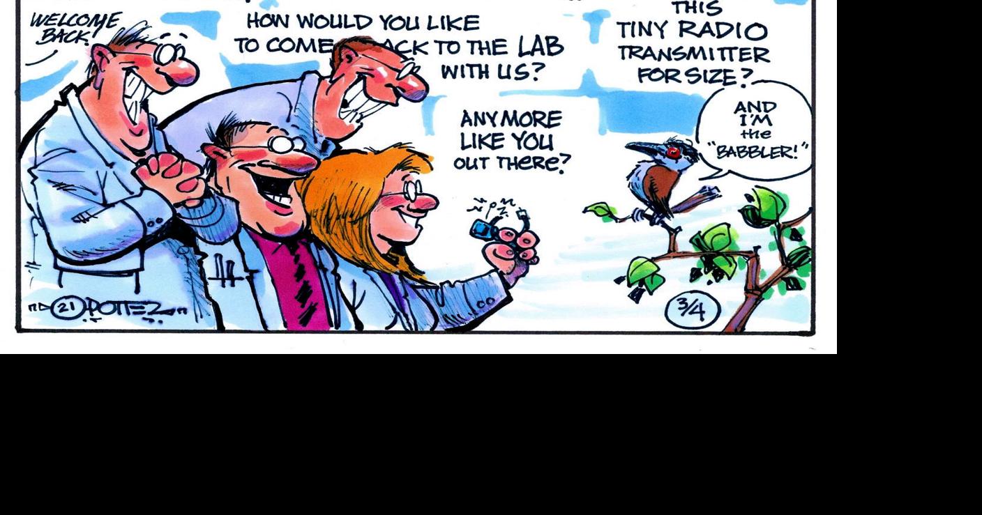 Bird rediscovered after being lost for 170 years