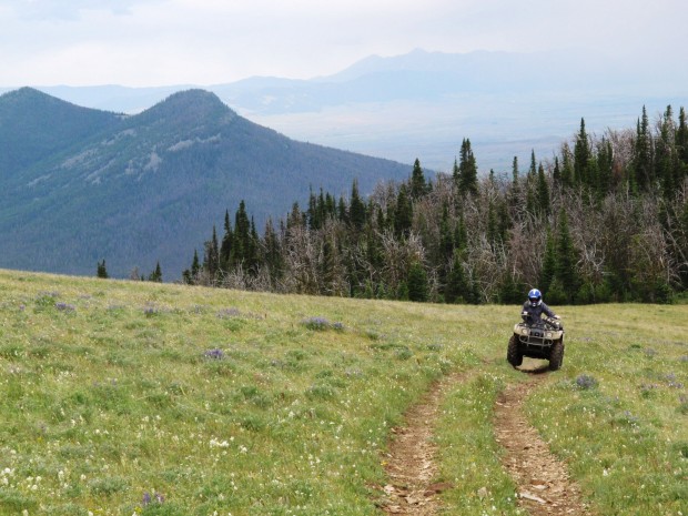 Gallery: Crazy trail ride | Outdoors | billingsgazette.com