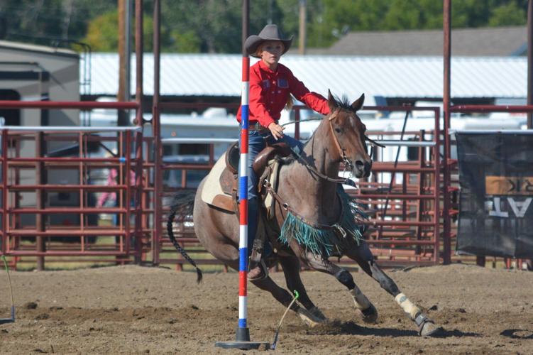 pole bending rodeo coloring pages