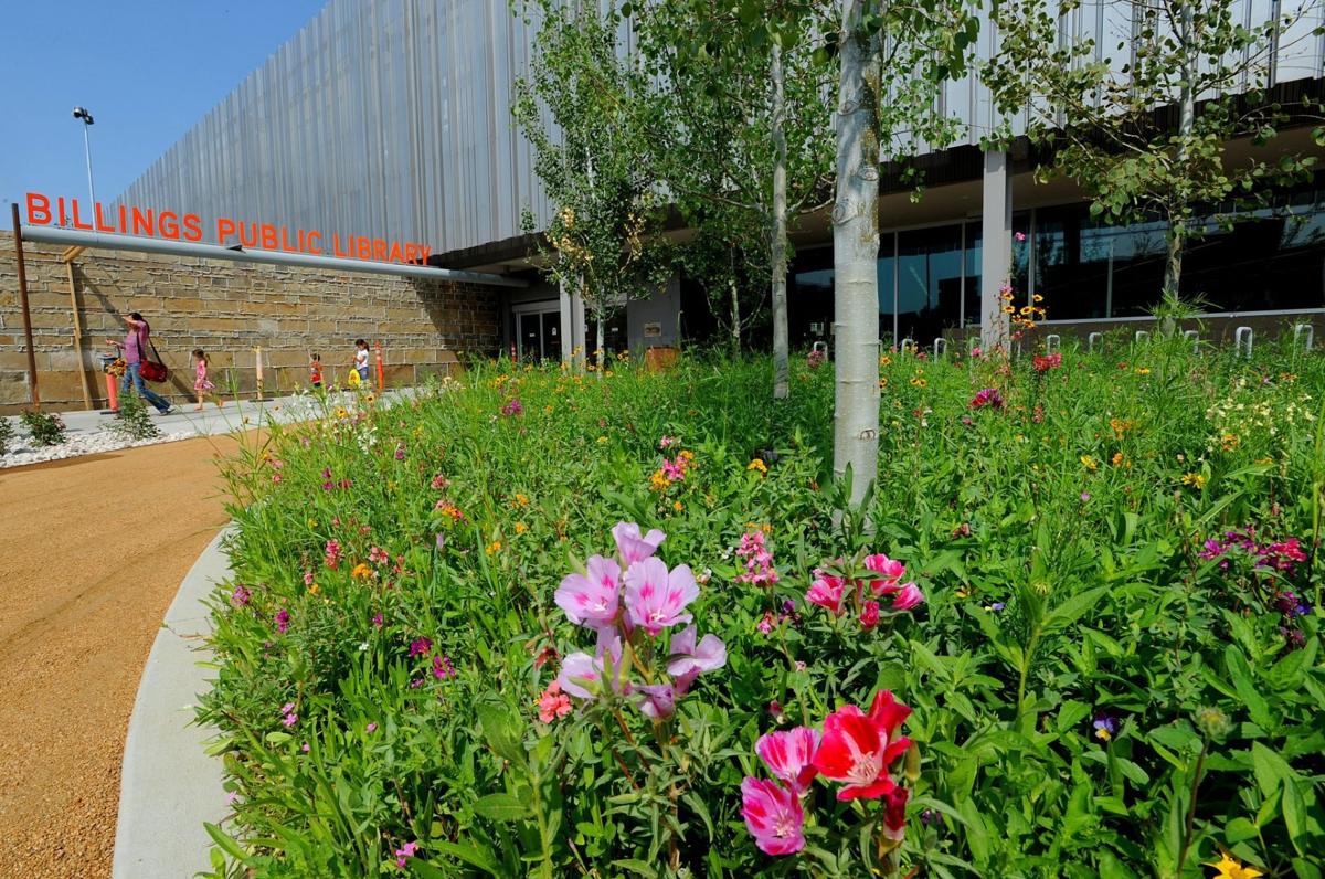 Billings Public Library wins national design award | Local News ...